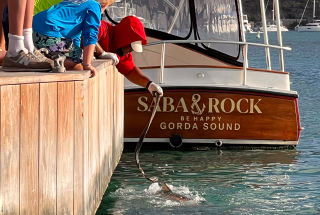 Sabarock | Saba Rock
